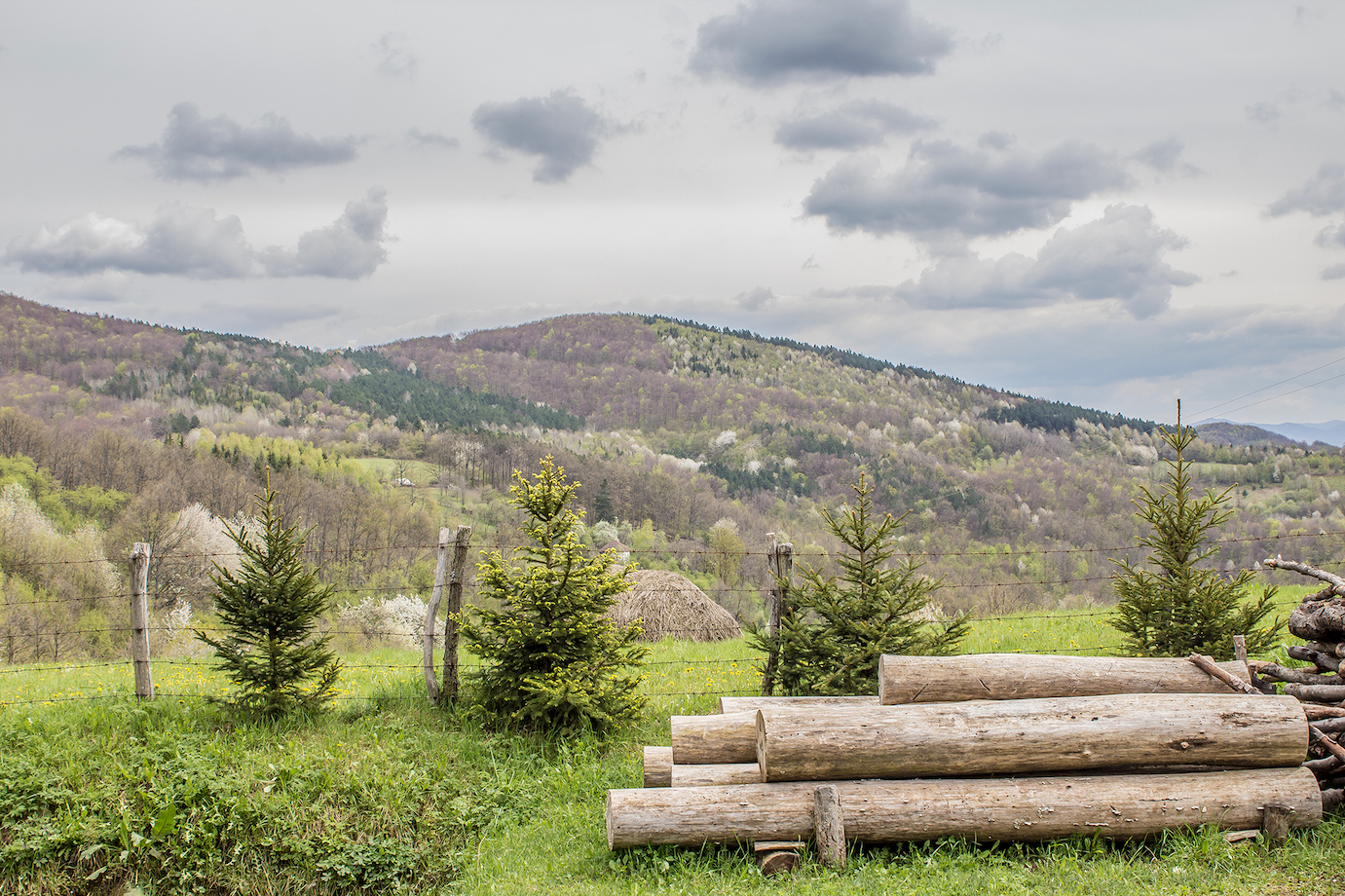 Jelica - Planinarsko sportski klub Balkan