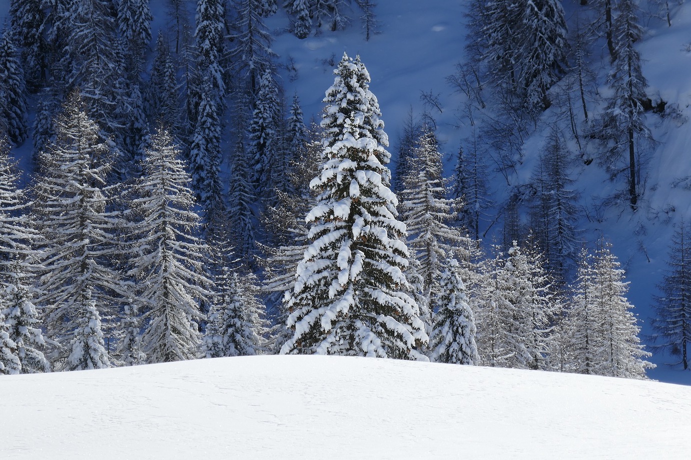 Romanija i Javor - Planinarsko sportski klub Balkan