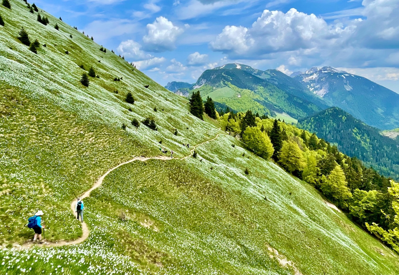 Karavanke - Planinarsko sportski klub Balkan